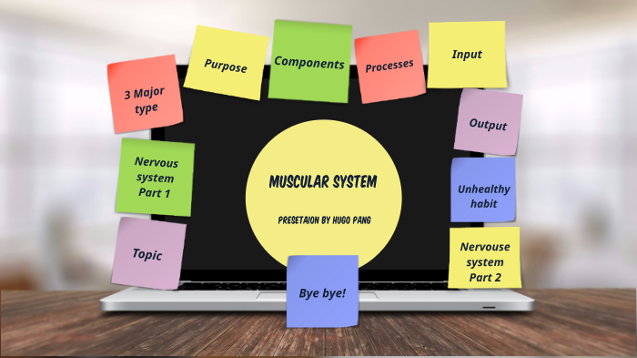 Muscular System- Hugo Pang by Hugo Pang on Prezi