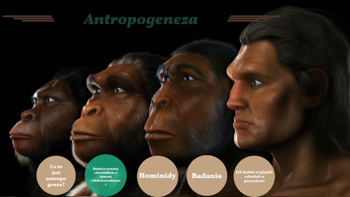 Antropogeneza by Jakub Skibiński on Prezi