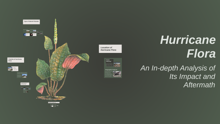 Hurricane Flora by Jorge on Prezi