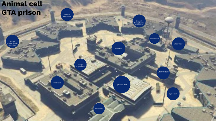 A EUKARYOTIC CELL ANALOGY MINI PROJECT by Matthew Nickerson on Prezi