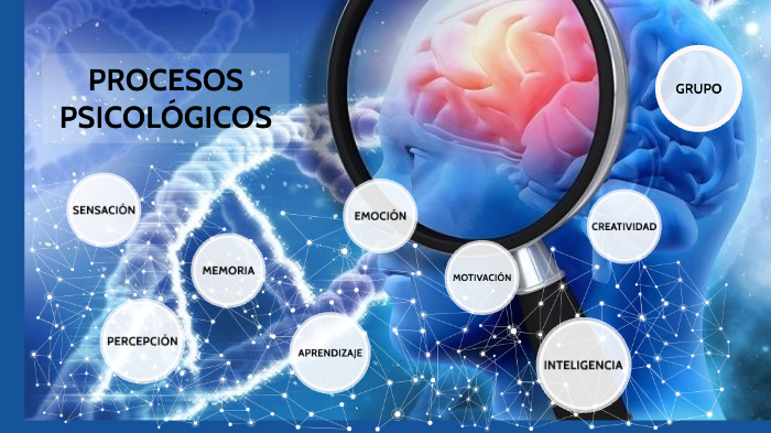 Procesos Psicológicos by Sabrina Troconis on Prezi