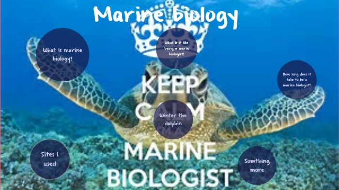 The Marine Biology Project by Angelina Zannopoulos on Prezi