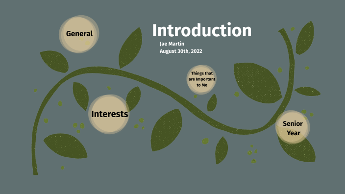 Gibbs Introduction - Jae Martin by Natalie Martinez on Prezi