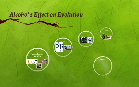 Alcohol's Effect on Evolution by Hayley Overturf on Prezi