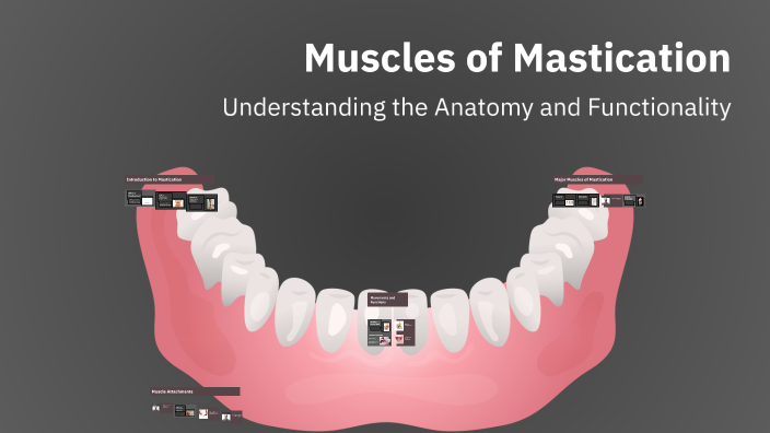 Muscles of Mastication by Santosh madar on Prezi