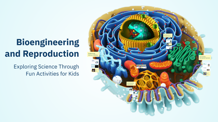 Bioengineering and Reproduction by Maria João Tavares Sousa on Prezi
