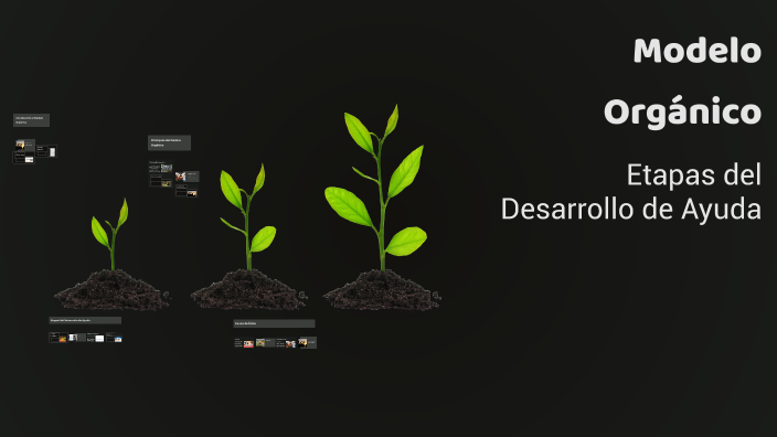 Modelo Orgánico by Jei Vivas on Prezi