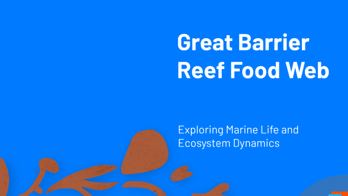 Great Barrier Reef Food Web by James Simnett on Prezi