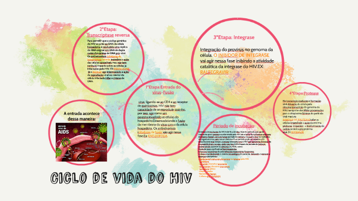Ciclo de vida do HIV by Jéssica Duarte on Prezi