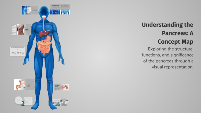 Understanding the Pancreas: A Concept Map by Funmibi Aiyeola on Prezi