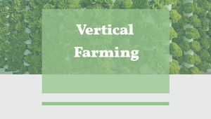Vertical Farming Infographic by Olivia Frost on Prezi Design
