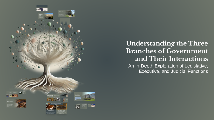 Understanding the Three Branches of Government and Their Interactions ...