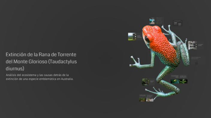 Extinción de la Rana de Torrente del Monte Glorioso (Taudactylus ...