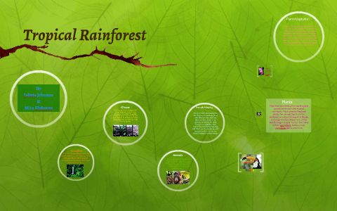 Tropical Rainforest by Jalivia Johnson on Prezi