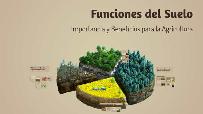 Funciones del Suelo by Jose Tobon on Prezi