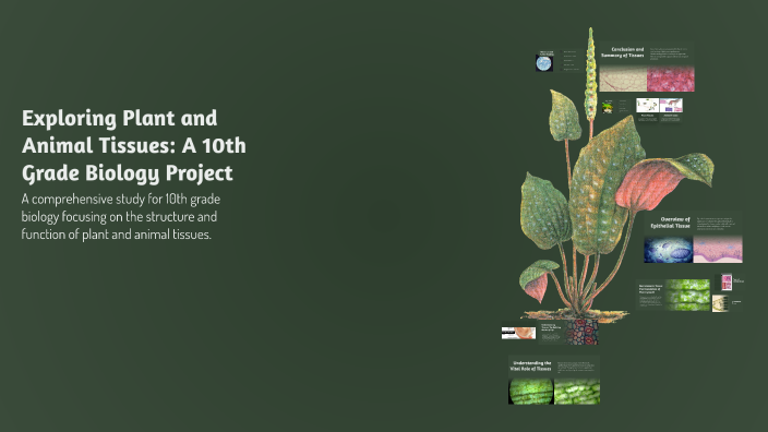 Exploring Plant and Animal Tissues: A 10th Grade Biology Project by ...