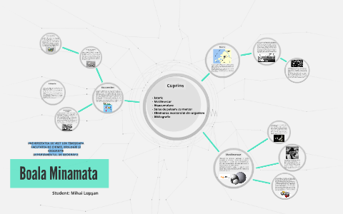 Boala Minamata by Mihai L on Prezi