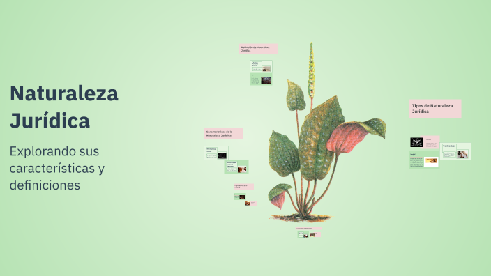 Naturaleza Jurídica by Jonathan Pérez on Prezi