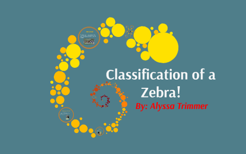 Classification of a Zebra! by Alyssa Trimmer on Prezi