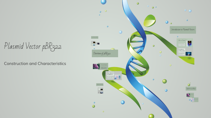 Plasmid Vector pBR322 by Sanika Kulkarni on Prezi
