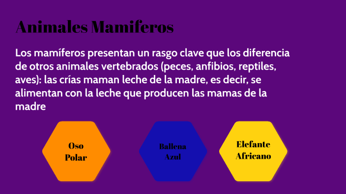 LOS ANIMALES MAMIFEROS by Gipsi :3 Prime on Prezi