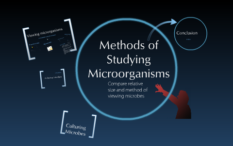 Methods of Studying Microorganisms by Caroline Maness on Prezi