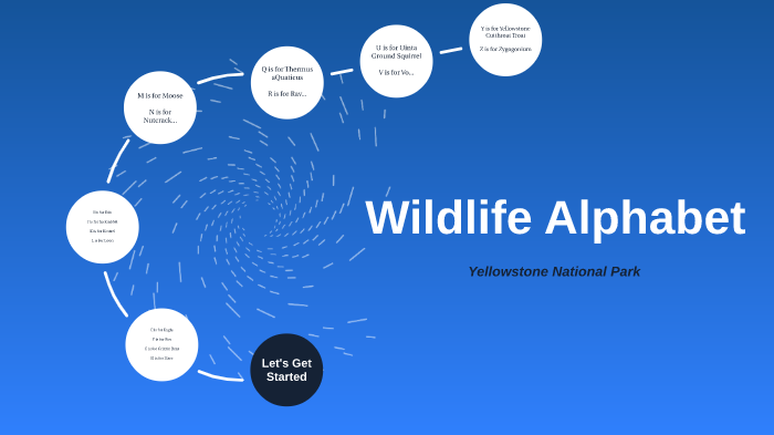 Yellowstone Alphabet by Nicole Smith on Prezi