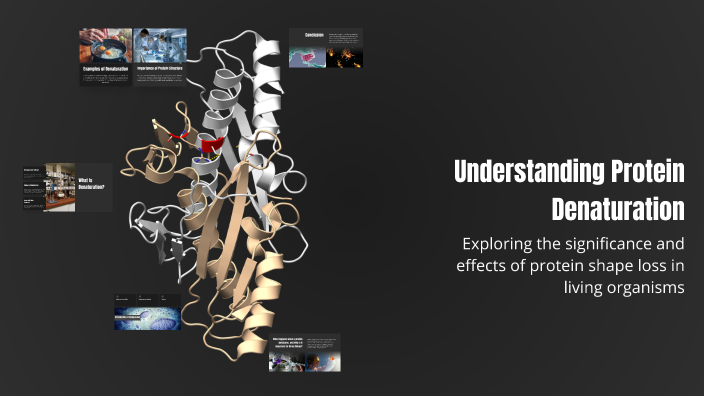 Understanding Protein Denaturation by Hector Zuniga on Prezi