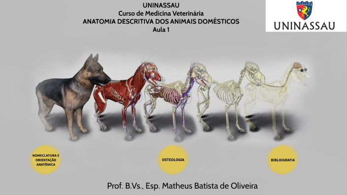 ANATOMIA VETERINÁRIA by Matheus Batista on Prezi