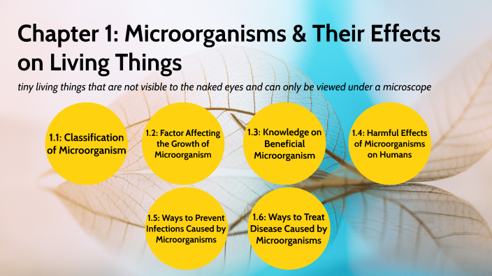 Chapter 1: Microorganisms & Their Effects on Living Things by Farahin ...