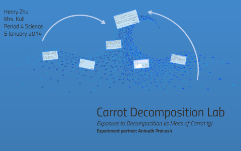 Carrot Decomposition Lab by Henry Zhu on Prezi