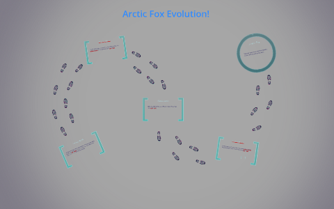 Arctic Fox Evolution! by on Prezi
