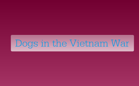 Dogs in the Vietnam war by courtney stumpf on Prezi