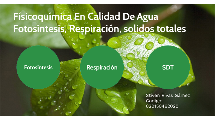 fotosíntesis, respiración, solidos totales. by Stiven Rivas on Prezi