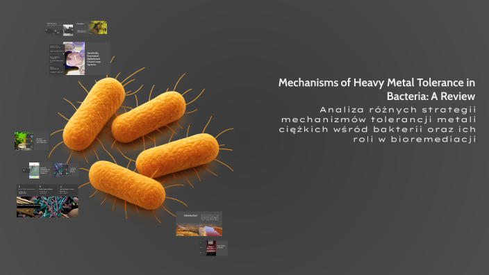 Mechanisms of Heavy Metal Tolerance in Bacteria: A Review by Martyna on ...