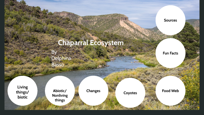 Delphina's Chaparral Ecosystem by River Oaks Elementary on Prezi