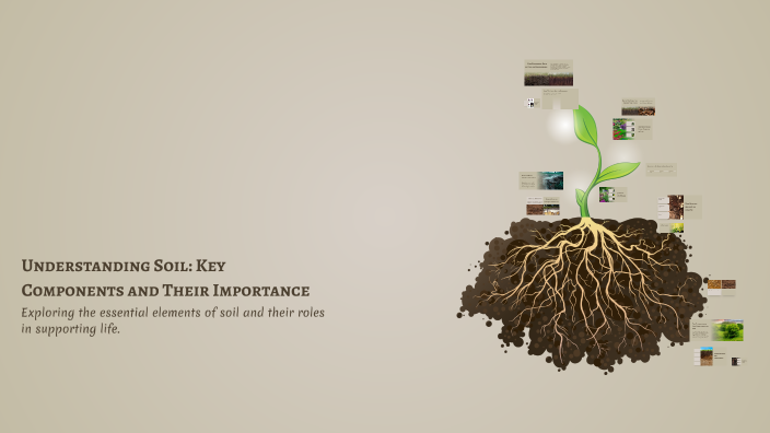 Understanding Soil: Key Components and Their Importance by Silvia ...