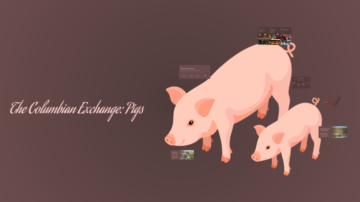 The Columbian Exchange: Pigs by sherlyn gomez on Prezi