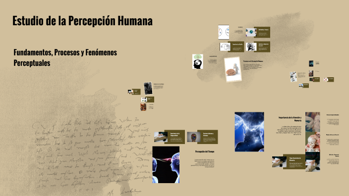 Estudio de la Percepción Humana by maria adiestre on Prezi