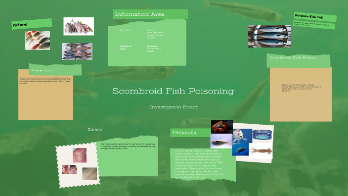 Scombroid Fish Poisoning by Destiny Smith on Prezi