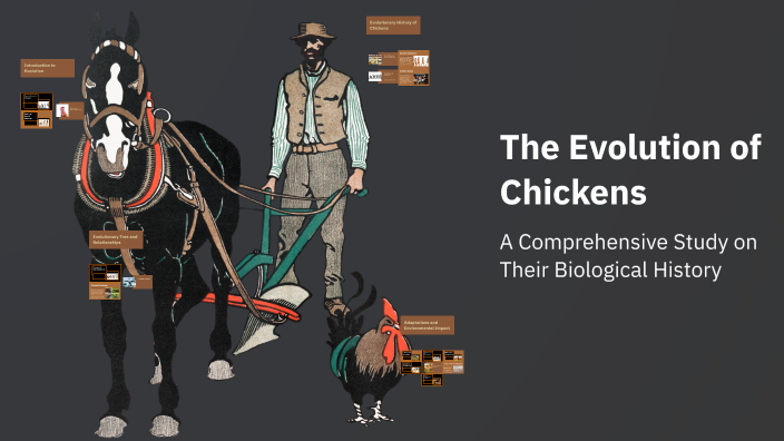 The Evolution of Chickens by Tully Rockwell on Prezi