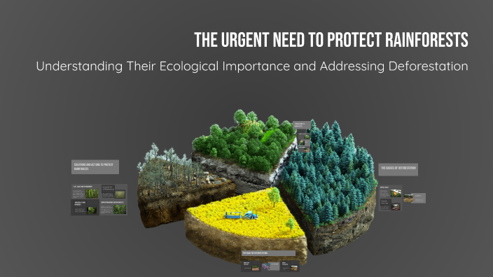 The Urgent Need to Protect Rainforests by Simone Grazie on Prezi