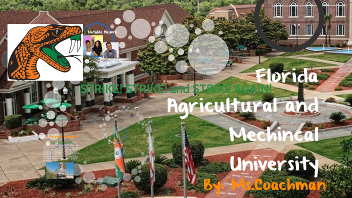 Florida Agricultural & Mechanical University HBCU Research Project by ...
