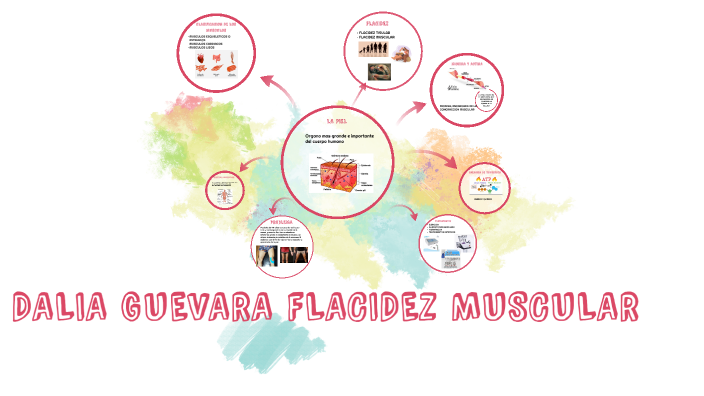 FLACIDEZ MUSCULAR by DALIA GUEVARA on Prezi
