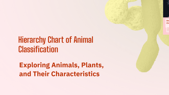 Hierarchy Chart of Animal Classification by Ema Paz Alfageme Riquelme ...