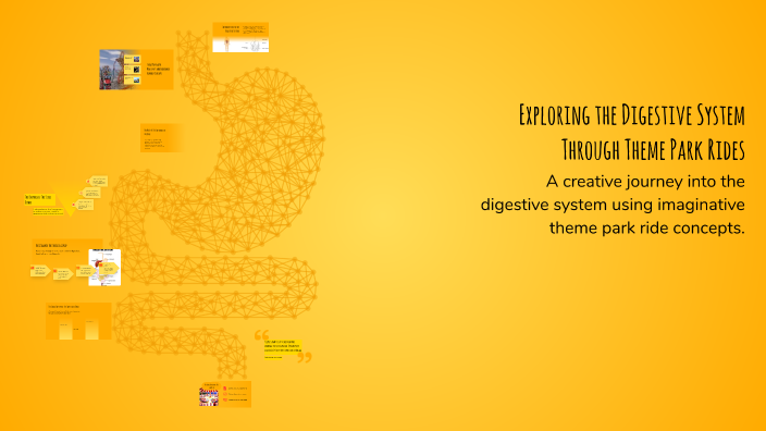 Exploring the Digestive System Through Theme Park Rides by David ...