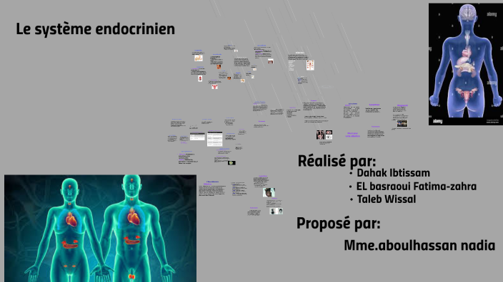 Le système endocrinien est un système de l'organisme ,eIle est ...