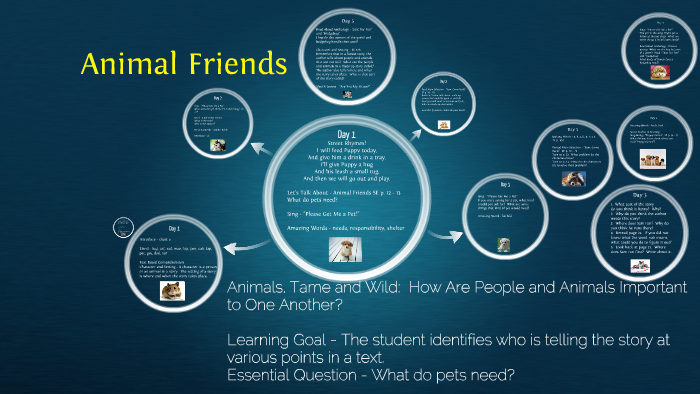 7 - Animals, Tame and Wild: How Are People and Animals Important to One ...