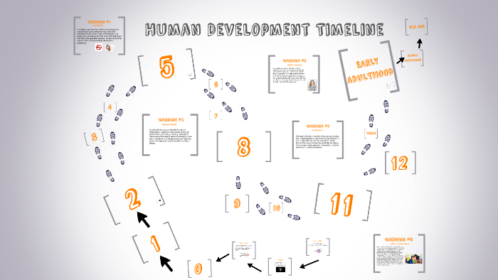 Human Development Timeline Isabella Vidri and Eduardo Porras by ...