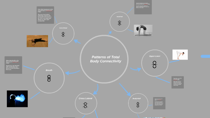 Patterns of Total Body Connectivity by on Prezi